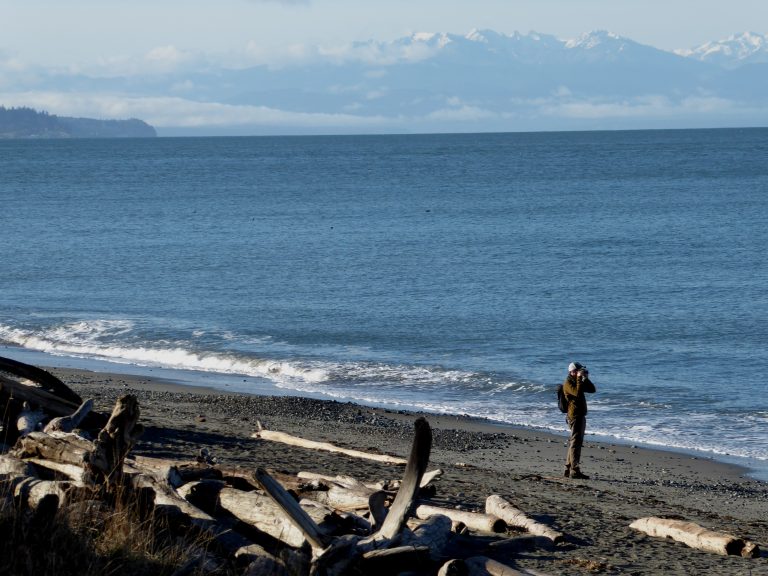 Anacortes Eco Tour - Discover Fidalgo Island's nature treasures!